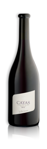 CAYAS – Syrah du Valais – La révolution qualitative des vins valaisans